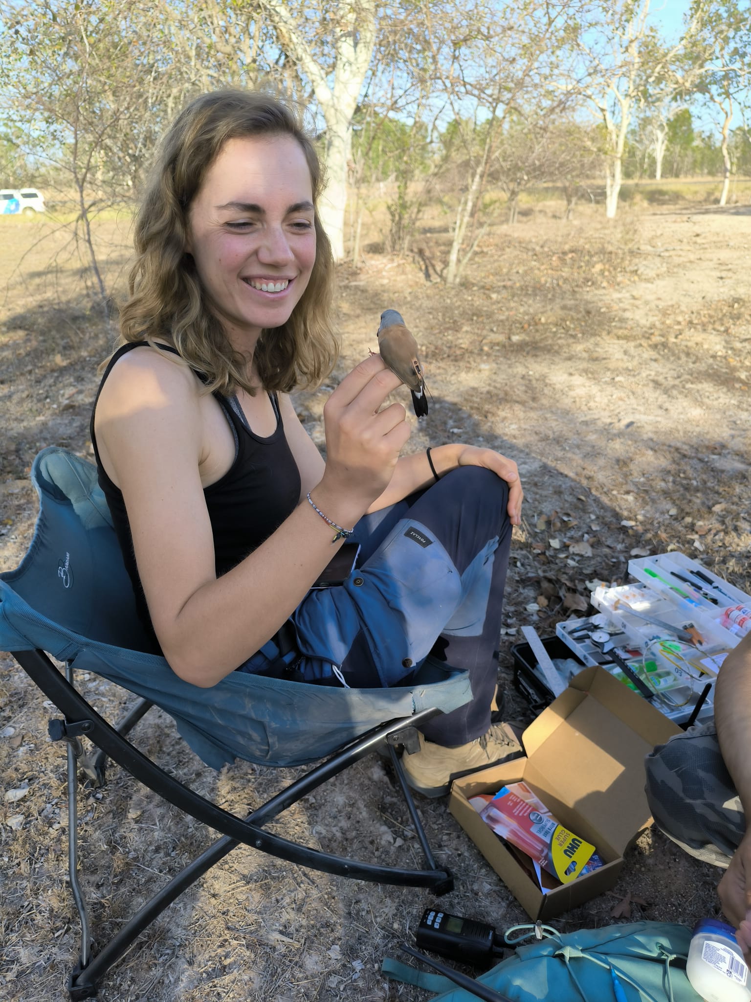 Southern Black-throated finch work – Griffith Ecology Lab